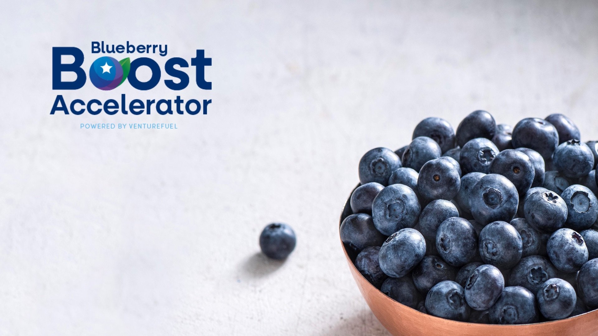First-Ever Blueberry Boost Accelerator Seeks Next Generation of Food and Consumer Product Innovation
